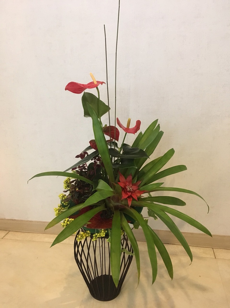 PLANT | GALLERY | Ricky Flower Create